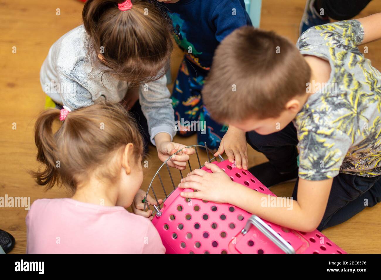 Showing a cat to kindergarten children, lesson about animals Stock ...