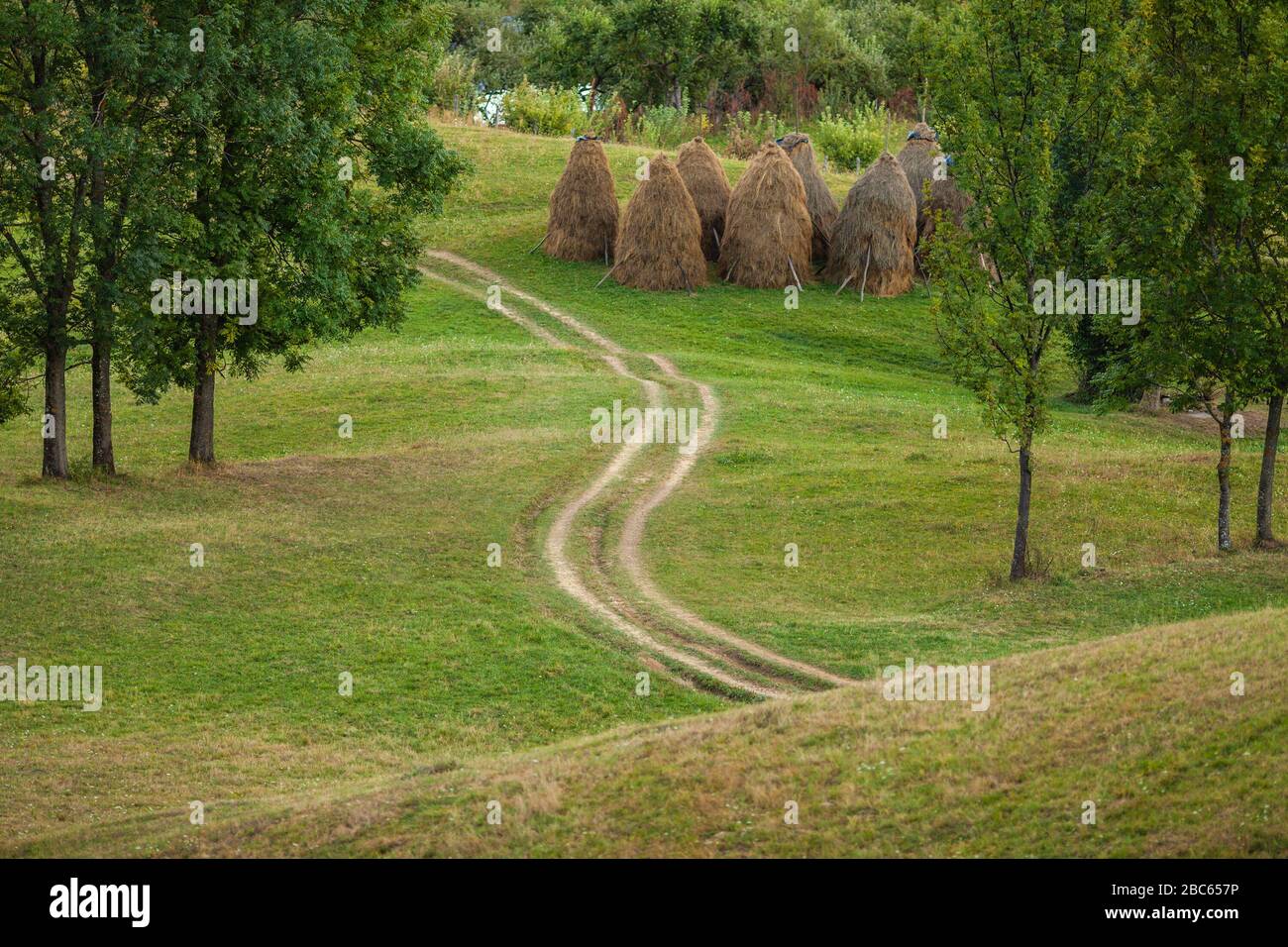 Winding road through simple beautiful rural landscape in Romania Stock ...