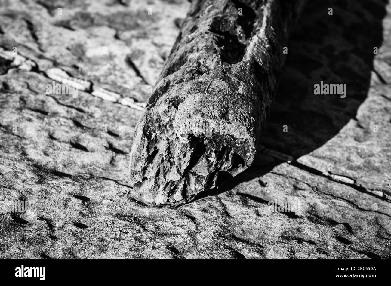 old harbour close up view - fishing ned, fishing boats & seaside view ...