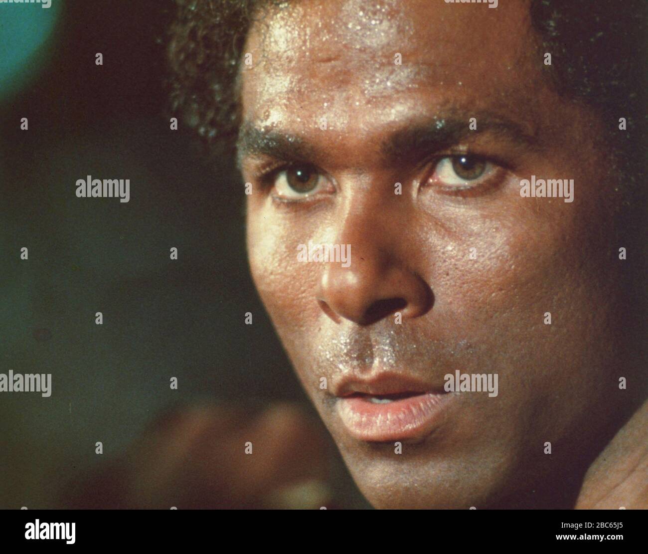 Miami vice tv show hi-res stock photography and images - Alamy