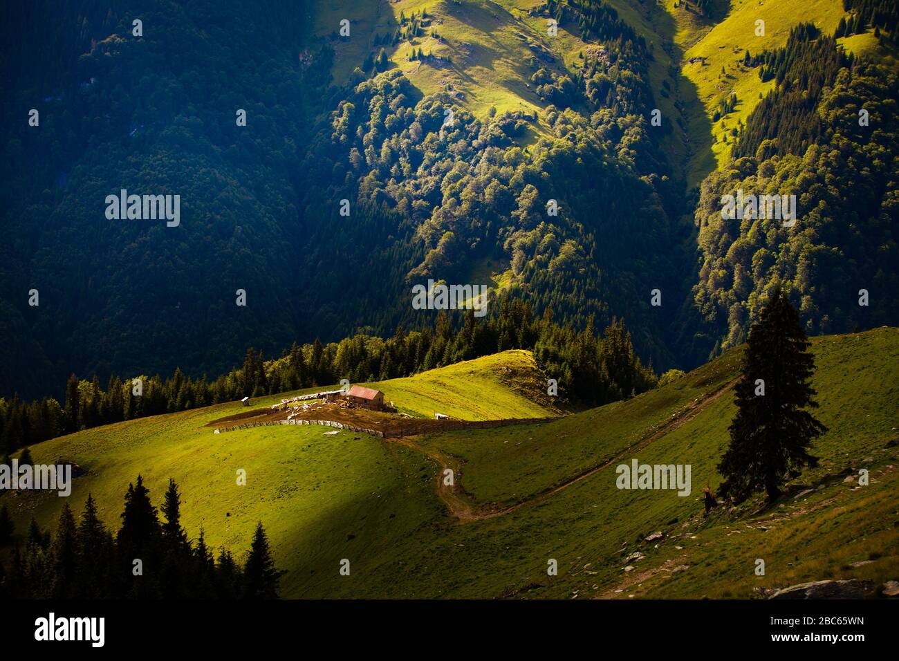 Beautiful sheepfold hi-res stock photography and images - Alamy