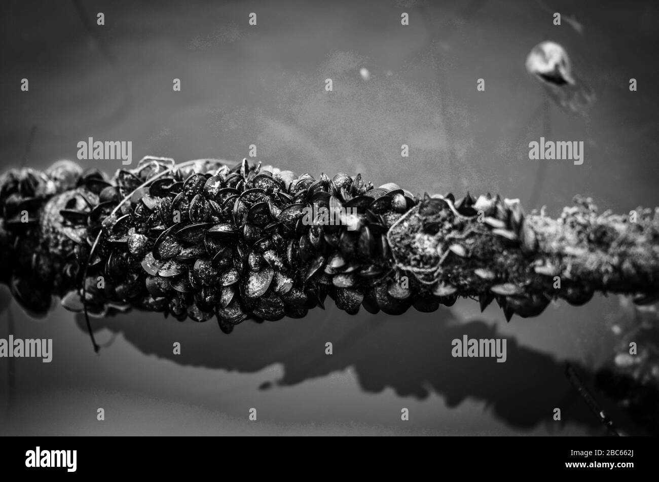 old harbour close up view - fishing ned, fishing boats & seaside view ...