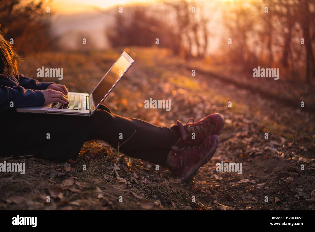 Using laptop computer in nature, technology and freedom concept Stock ...