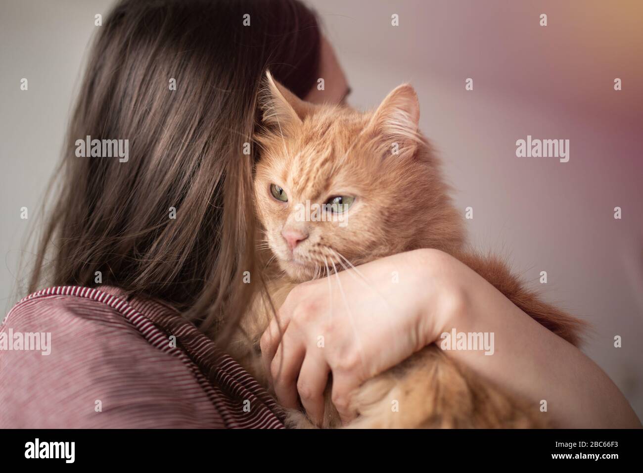 Human cat relationship hi-res stock photography and images - Alamy