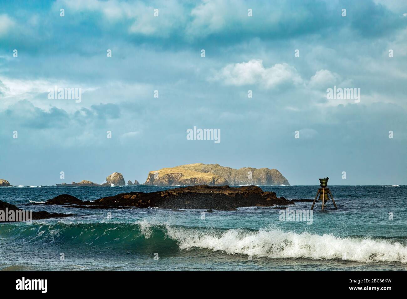 Bosta hi-res stock photography and images - Alamy