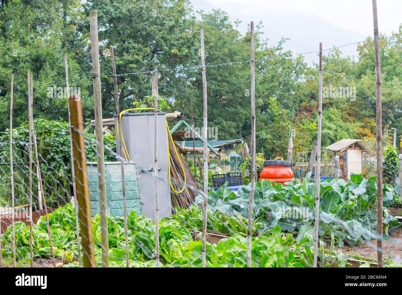 Overgrown garden to the abandoned house. People use bulky waste to ...
