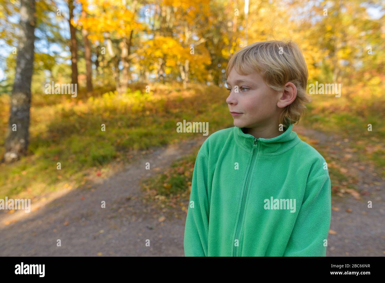 Profile portrait blond child boy hi-res stock photography and images ...
