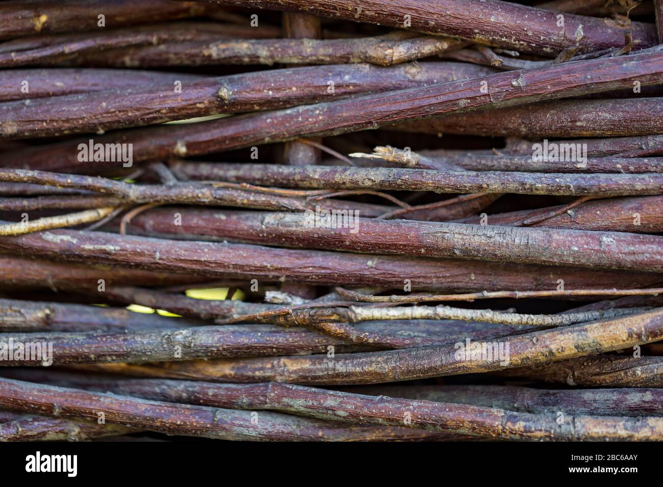 The texture of the tree twisted twigs filmed closeup Stock Photo - Alamy