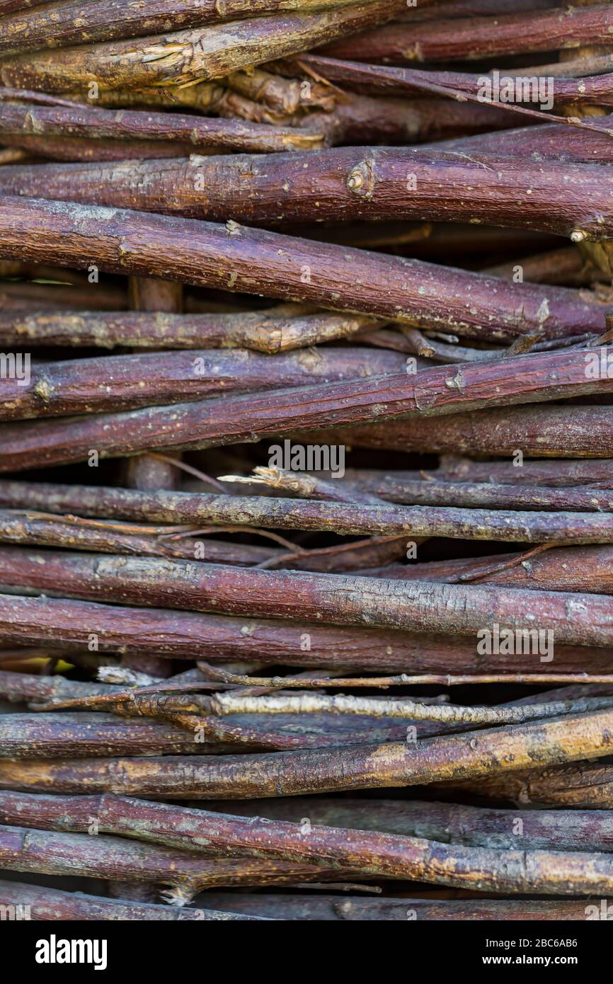 The texture of the tree twisted twigs filmed closeup Stock Photo - Alamy