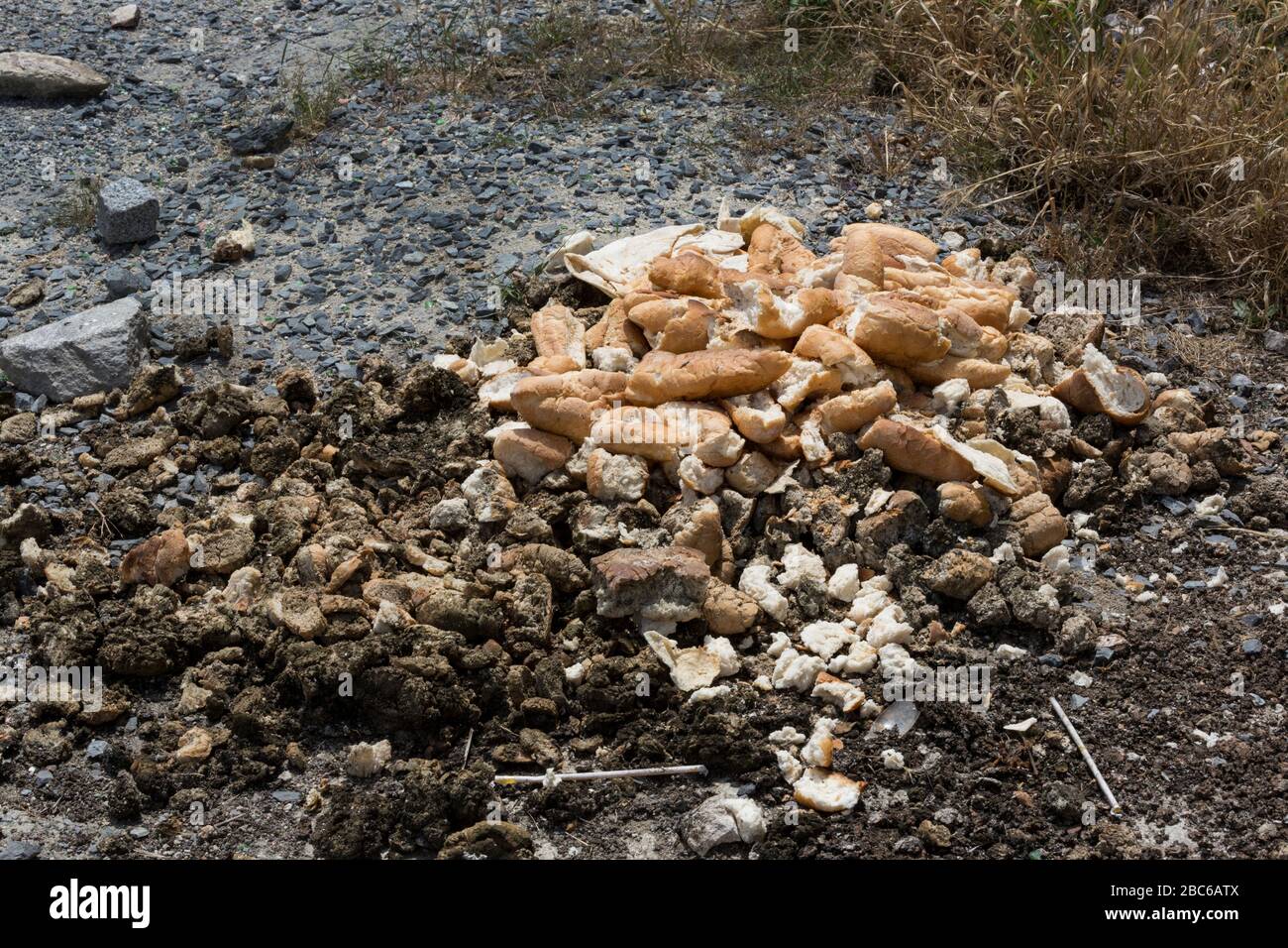 Loafs of old baguette bread are thrown into a landfill in Turkey's ...
