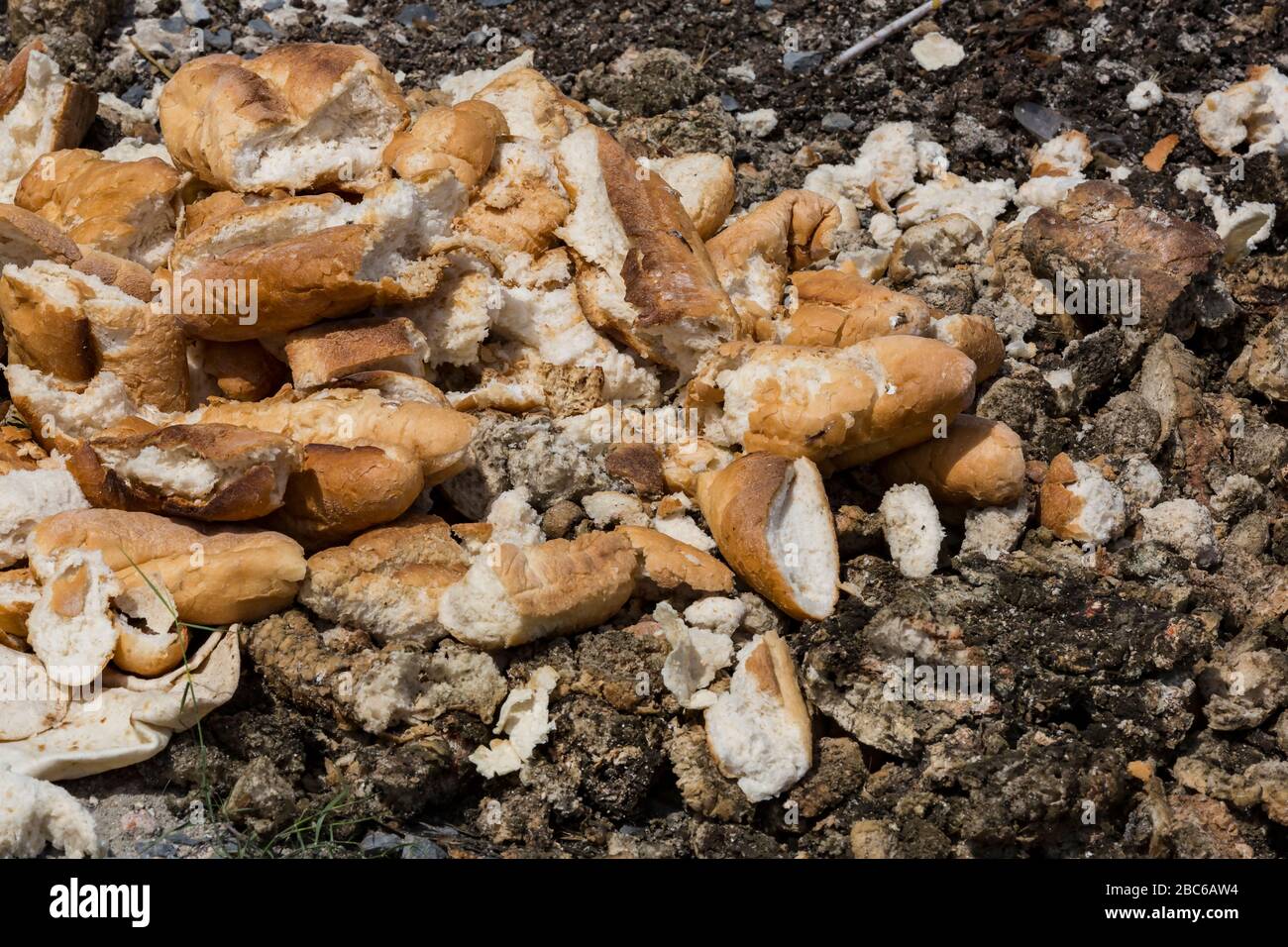 Loafs of old baguette bread are thrown into a landfill in Turkey's ...