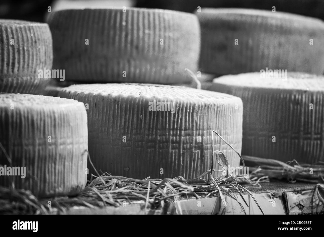 Cheese mites hi-res stock photography and images - Alamy