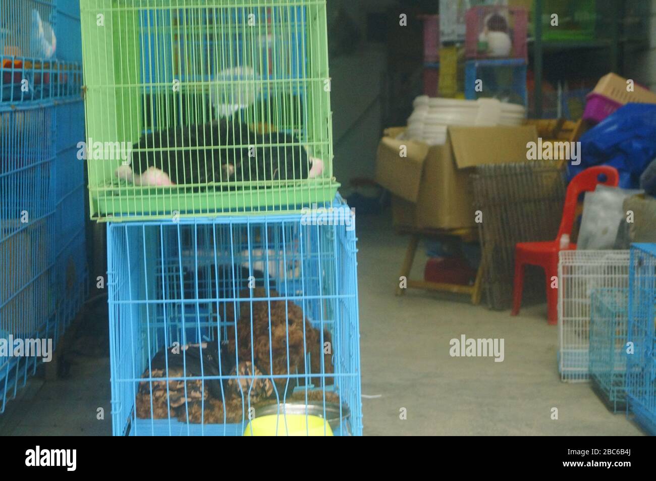 Pet market hi-res stock photography and images - Alamy