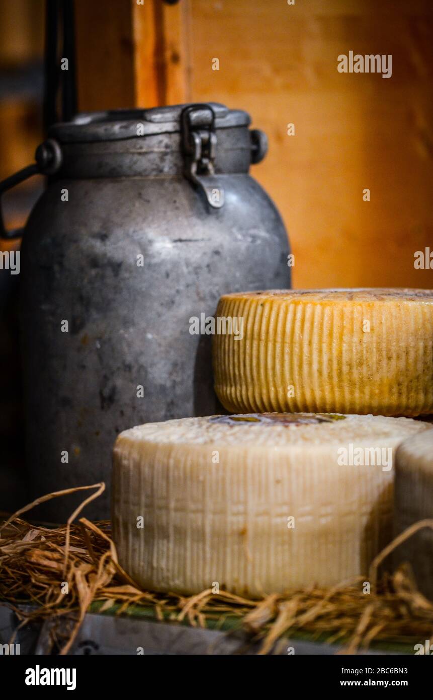 Cheese mites hi-res stock photography and images - Alamy