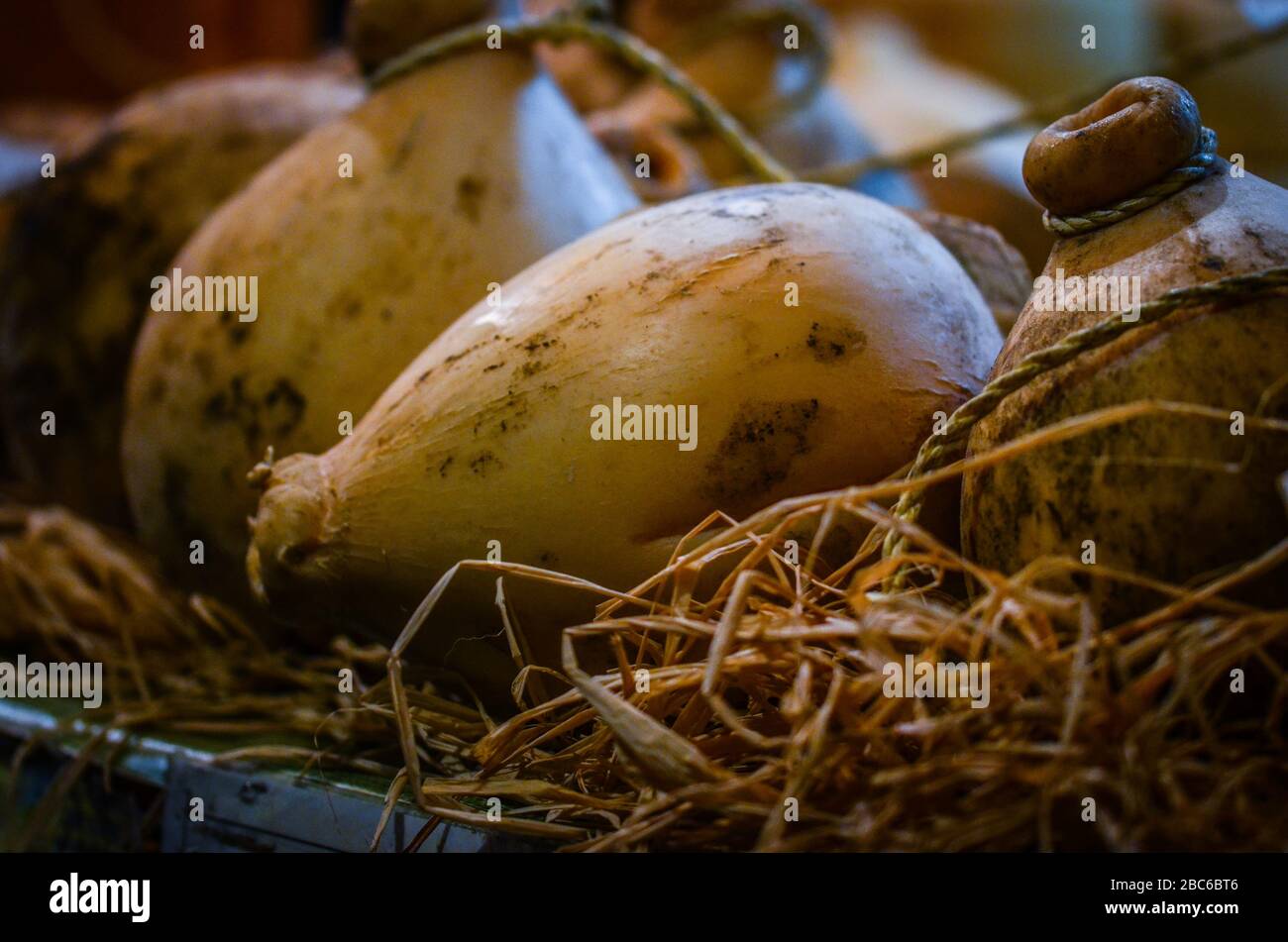 Cheese mites hi-res stock photography and images - Alamy