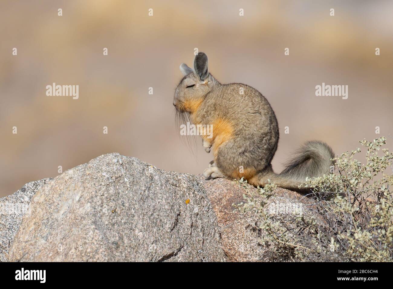 Southern highland province hi-res stock photography and images - Alamy