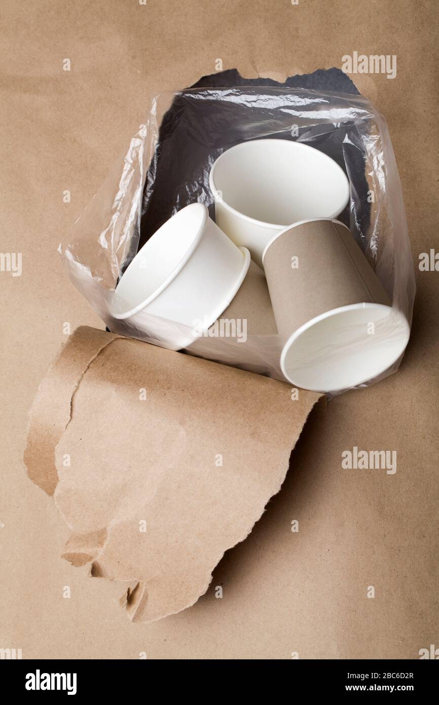 eco friendly disposable, compostable, recyclable paper cups in plastic ...