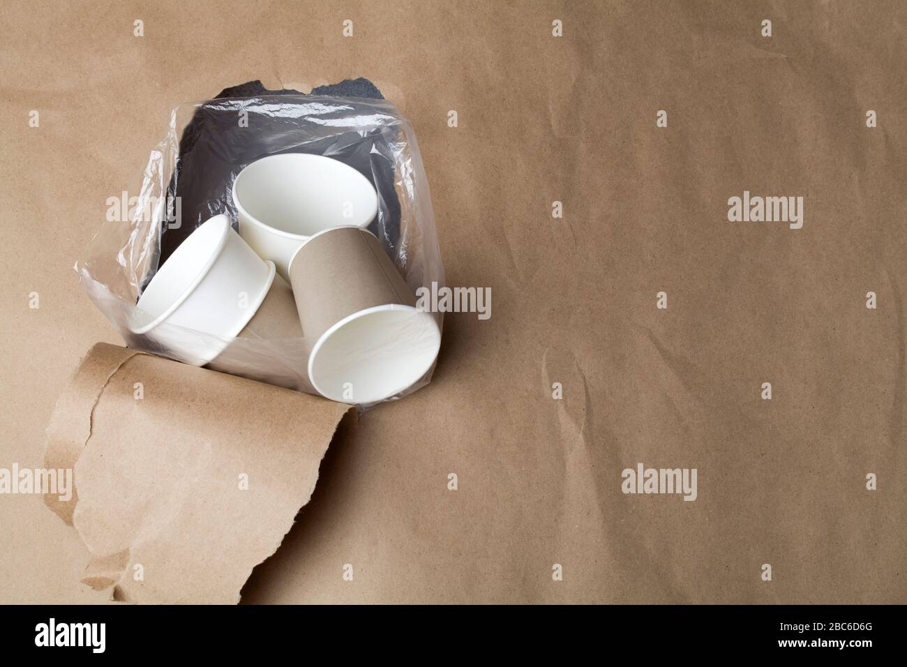 eco friendly disposable, compostable, recyclable paper cups in plastic ...