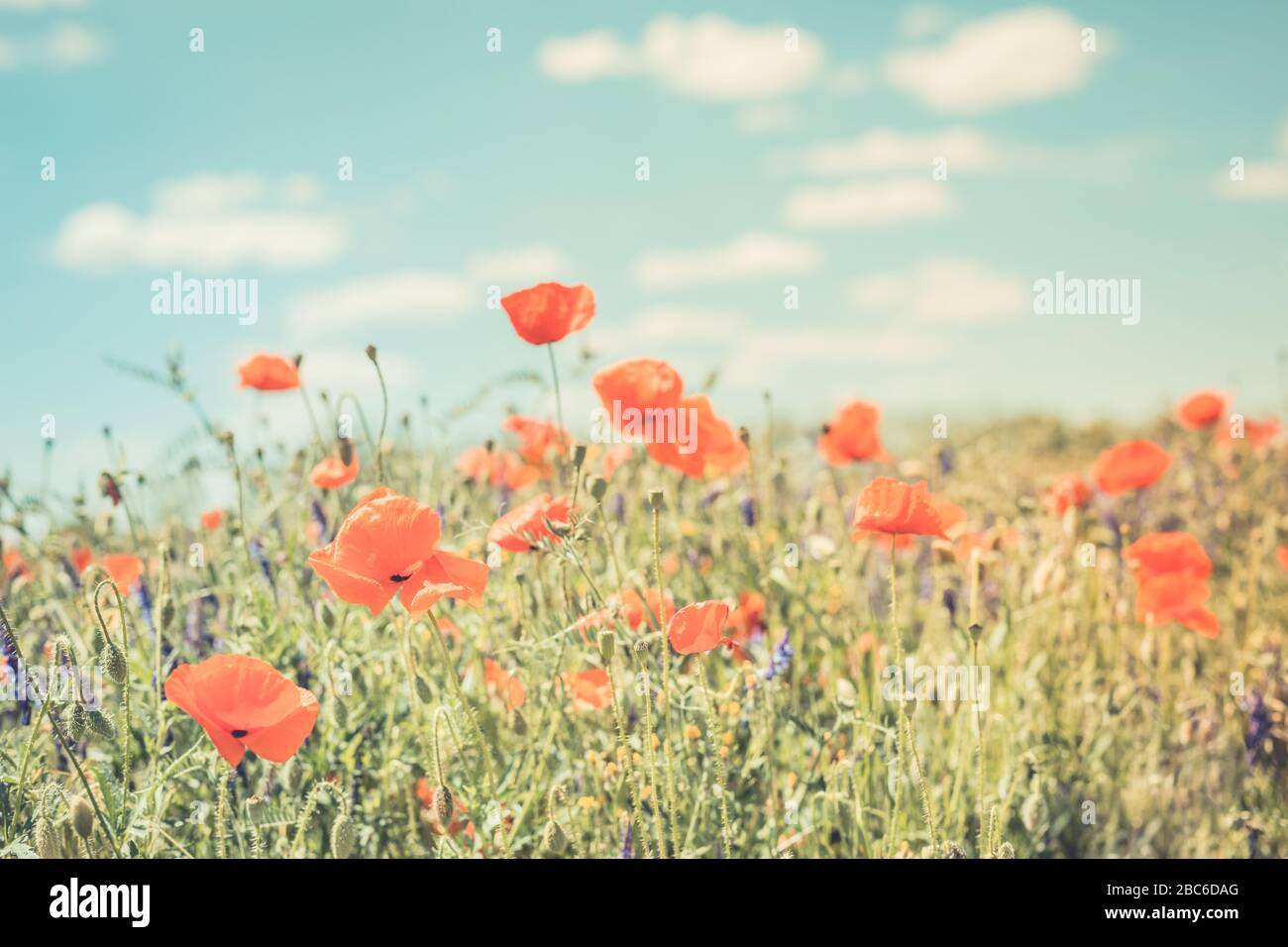 Retrospective background hi-res stock photography and images - Alamy