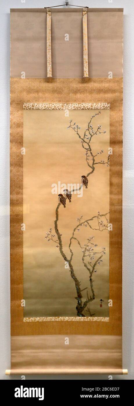 Sailko hi-res stock photography and images - Alamy