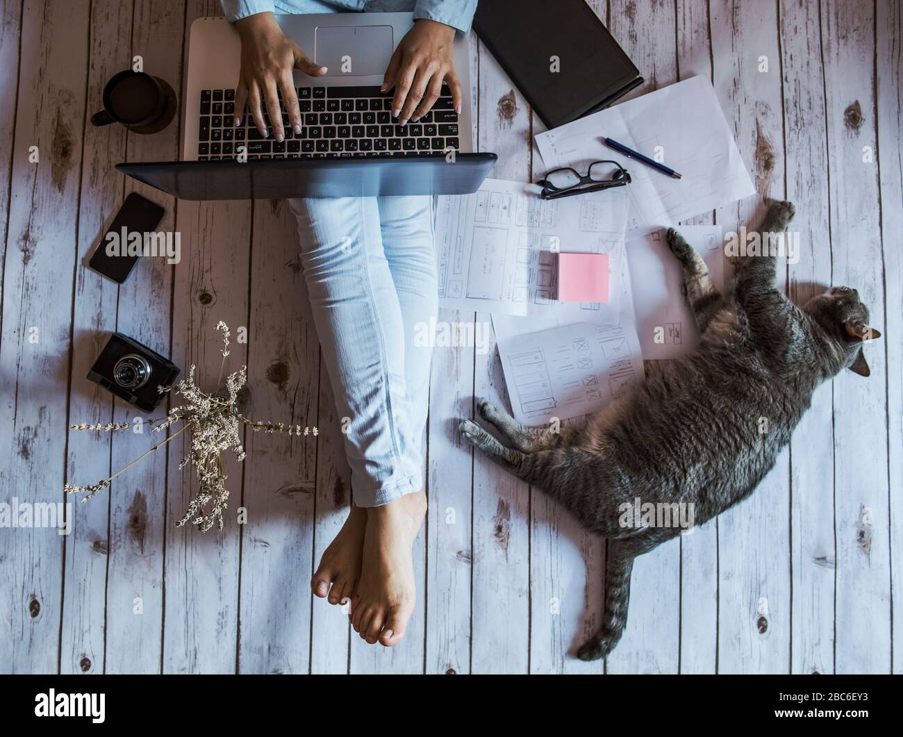 friendly workspace - girl working with her cat from home Stock Photo ...