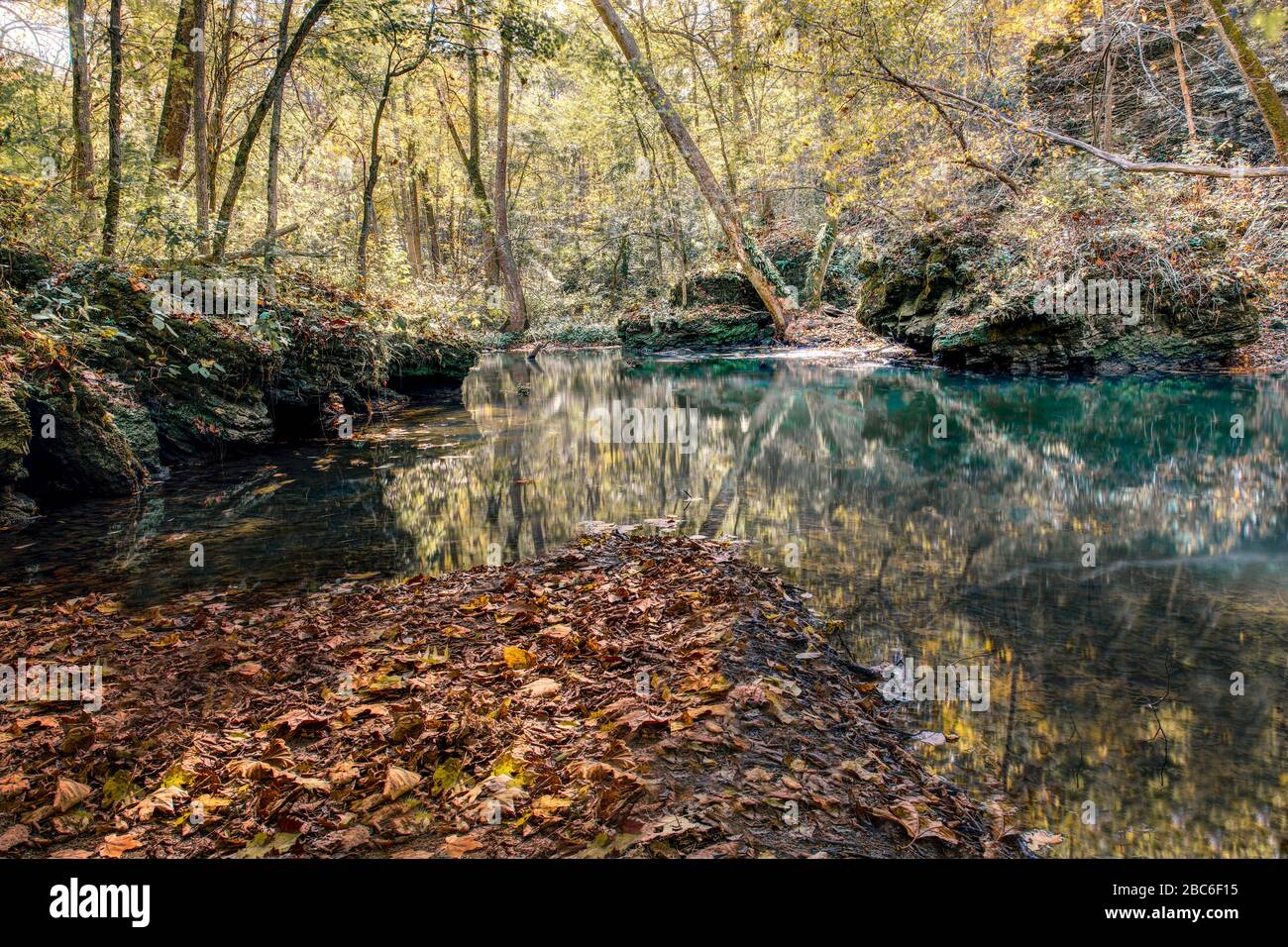 Forest scene during fall. Yellow and orange leaves with flowing water ...