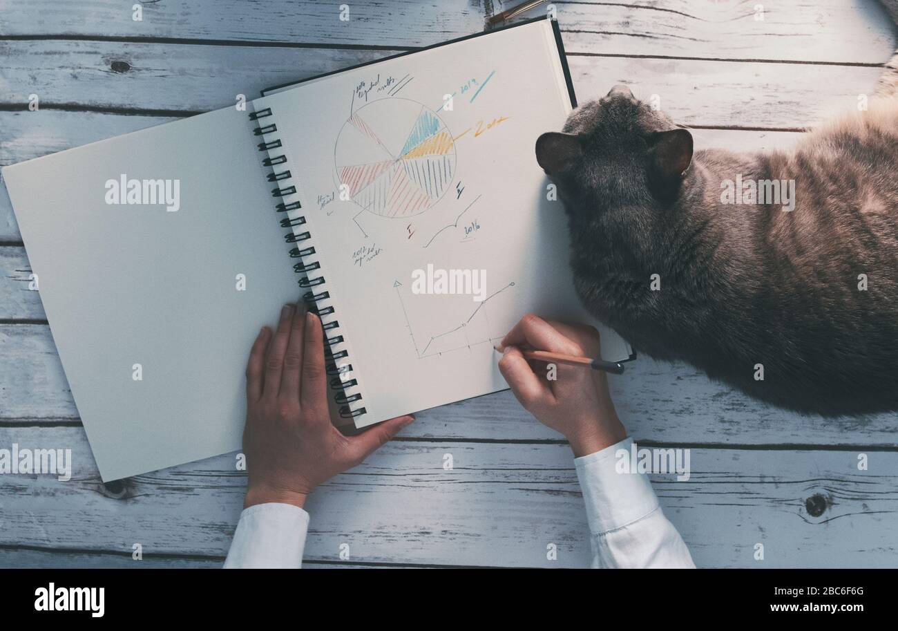 girl working from home with her cat Stock Photo - Alamy