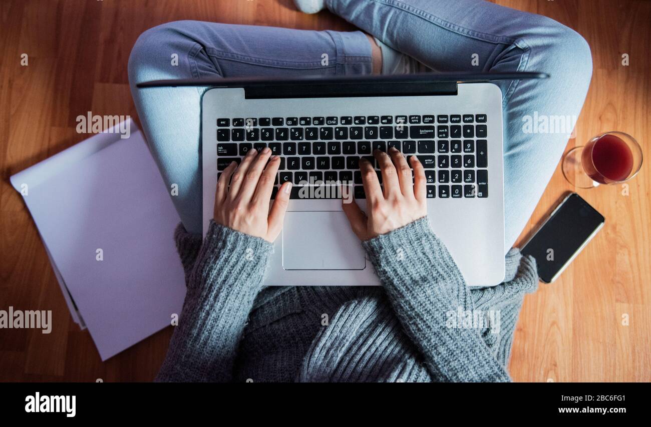 friendly workspace - girl working from home Stock Photo - Alamy