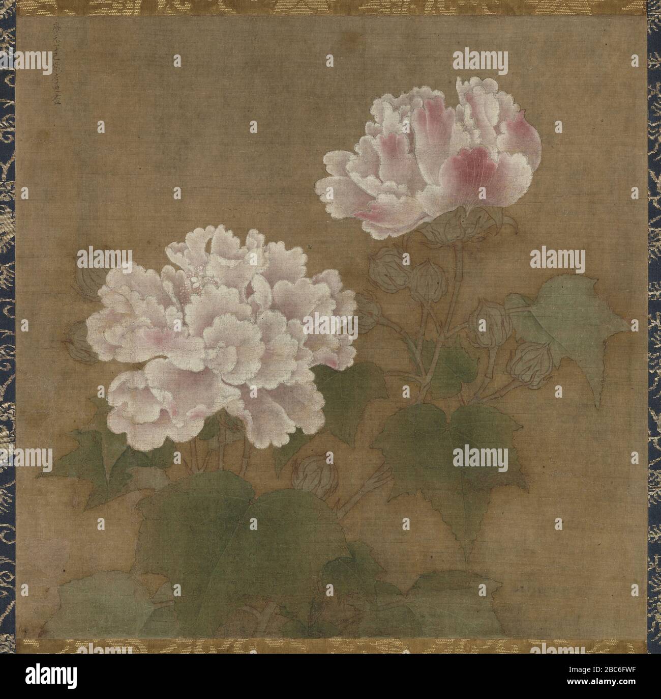 Li di hi-res stock photography and images - Alamy