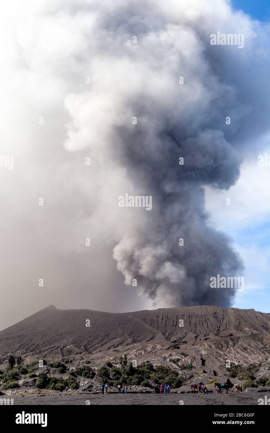 A View Of Mount Bromo (Erupting) From The Sea Of Sand, Bromo Tengger ...