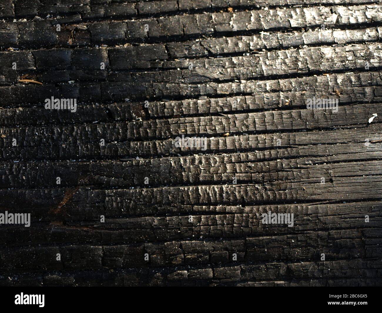 abstract picture with burnt wood texture, large wooden log Stock Photo ...