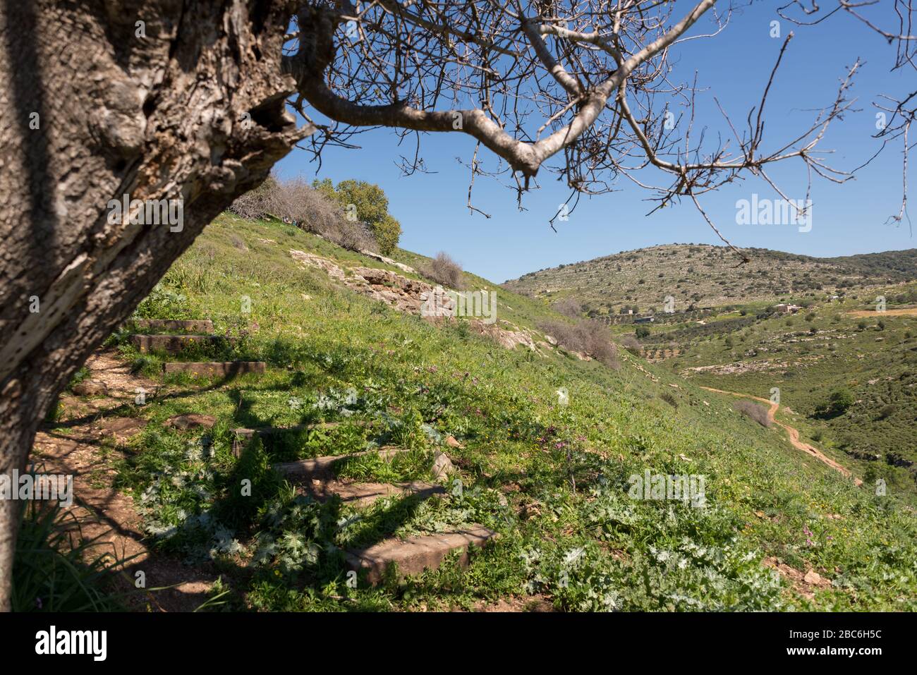 Tel Yodfat National Park, Israel Stock Photo - Alamy