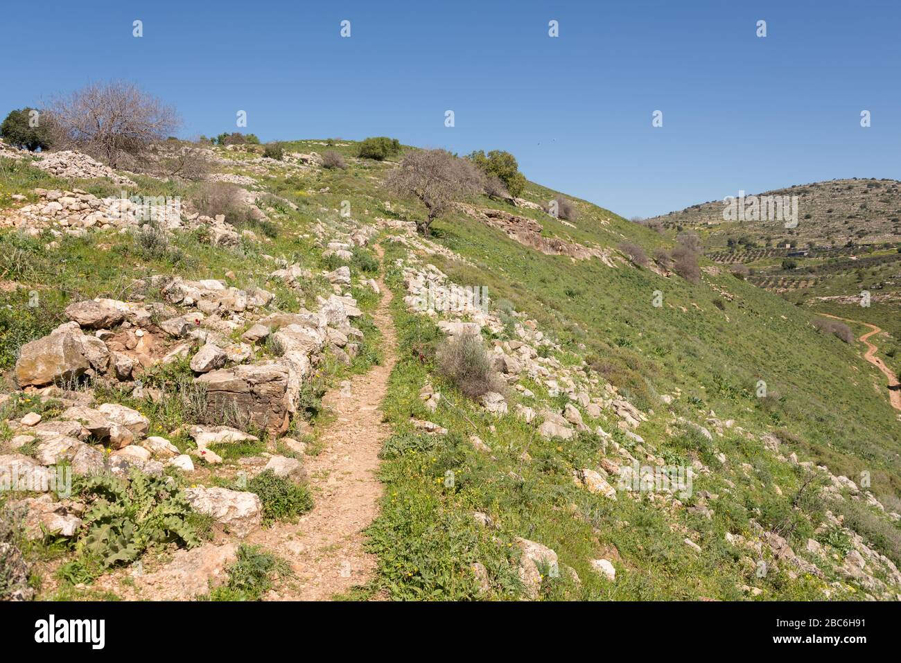 Tel Yodfat National Park, Israel Stock Photo - Alamy
