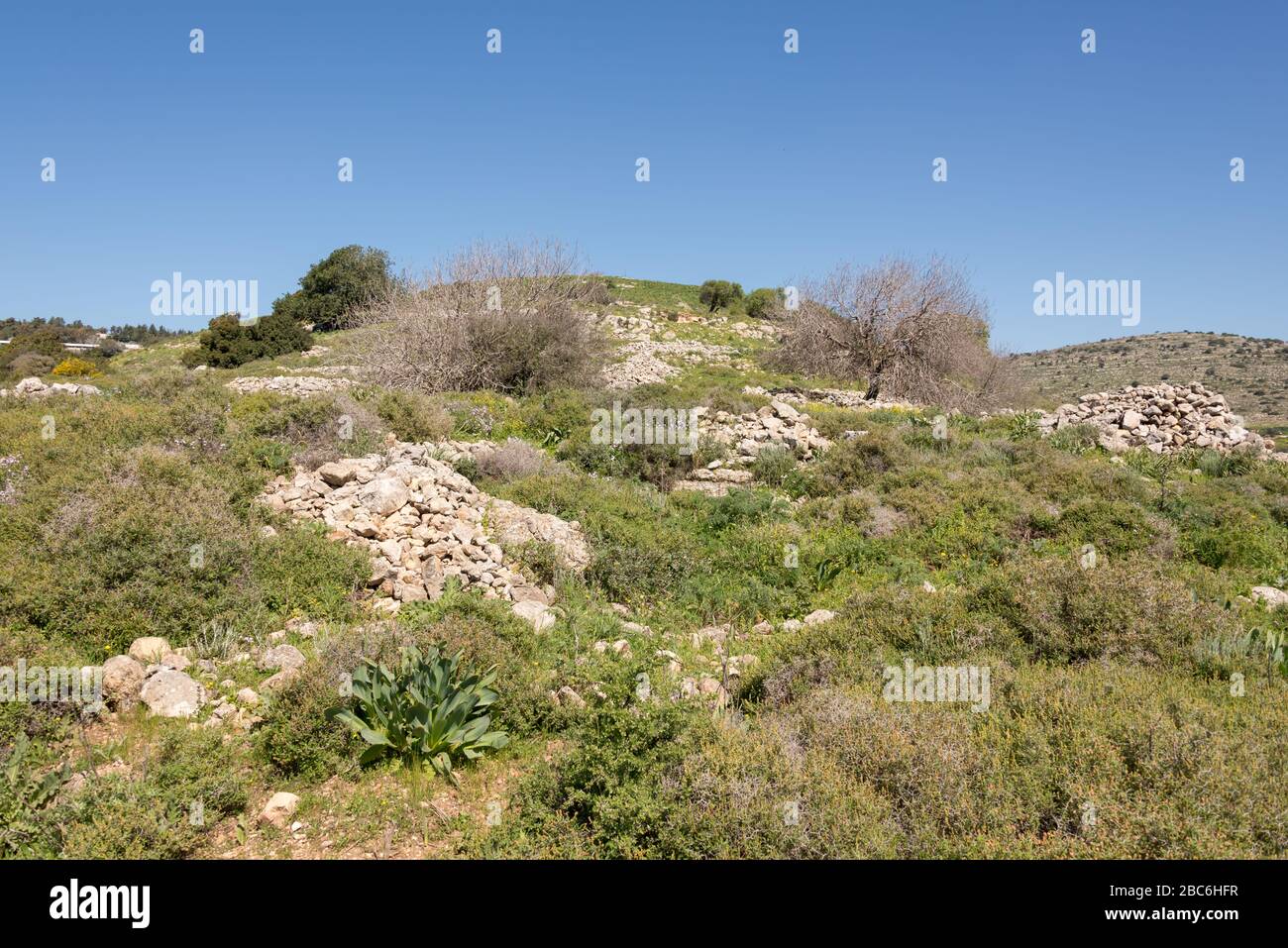 Tel Yodfat National Park, Israel Stock Photo - Alamy