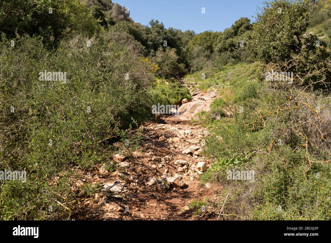 Tel Yodfat National Park, Israel Stock Photo - Alamy