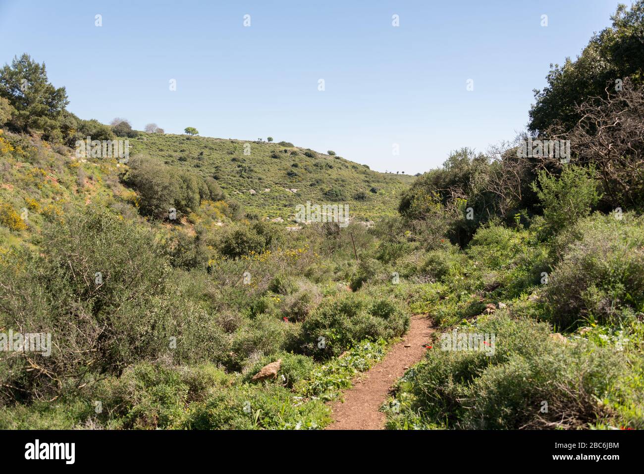 Tel Yodfat National Park, Israel Stock Photo - Alamy