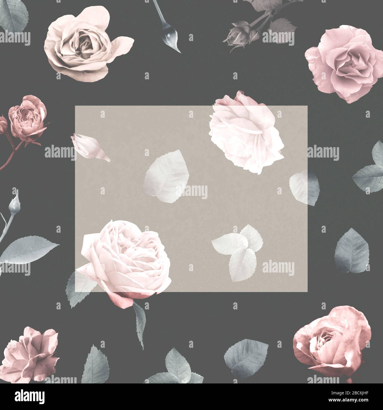 Frame with pink roses on dark background in vintage colors Stock Photo ...