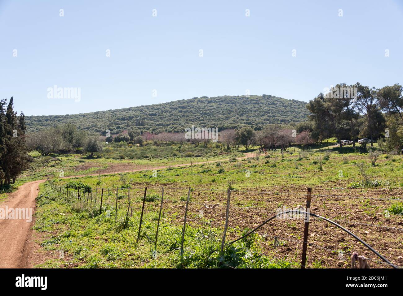 Tel Yodfat National Park, Israel Stock Photo - Alamy