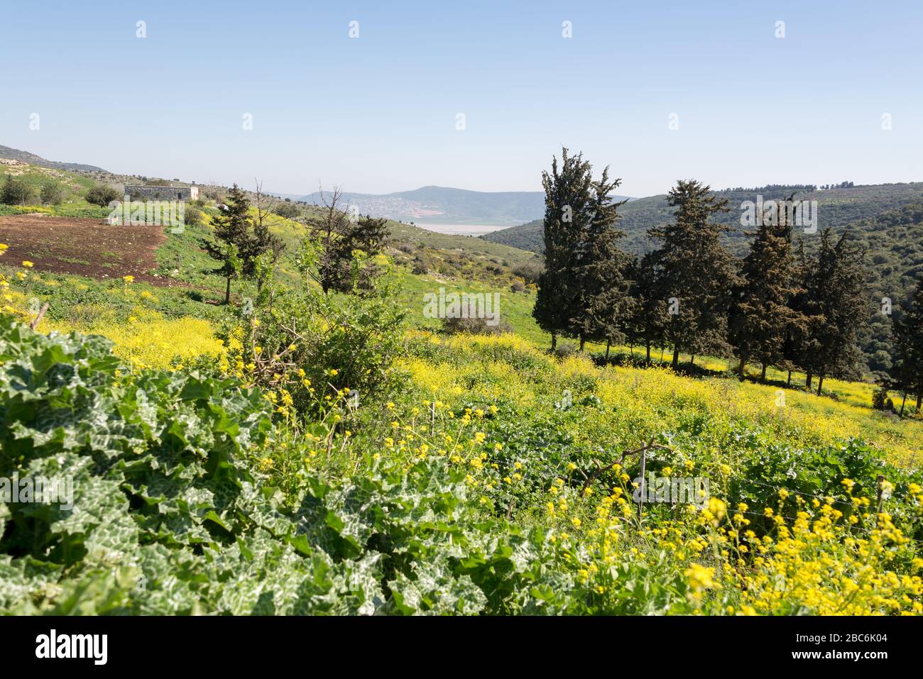 Tel Yodfat National Park, Israel Stock Photo - Alamy