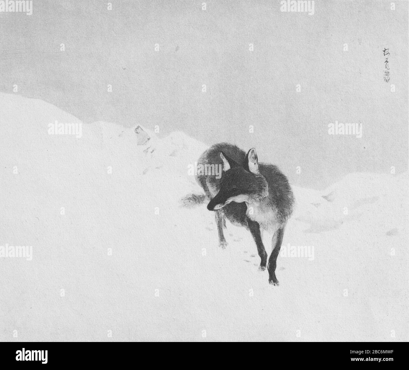 Konoshima hi-res stock photography and images - Alamy