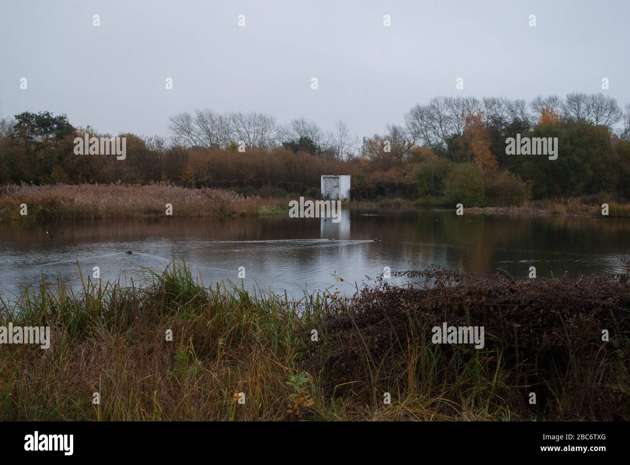 Berkeley Bat House IJP Architects Wetland Centre, Queen Elizabeth's ...