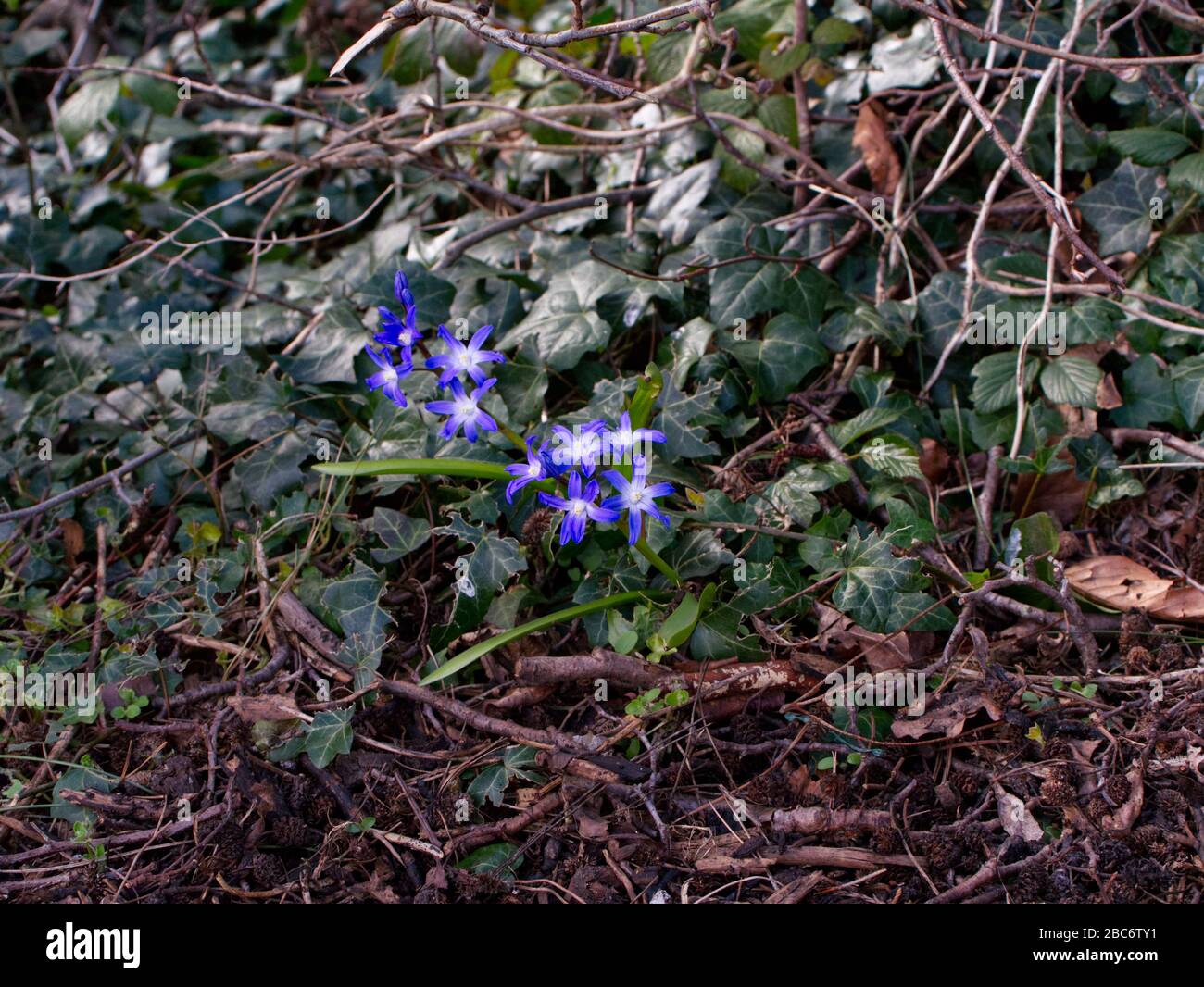 Michael obrien lakeside walk hi-res stock photography and images - Alamy