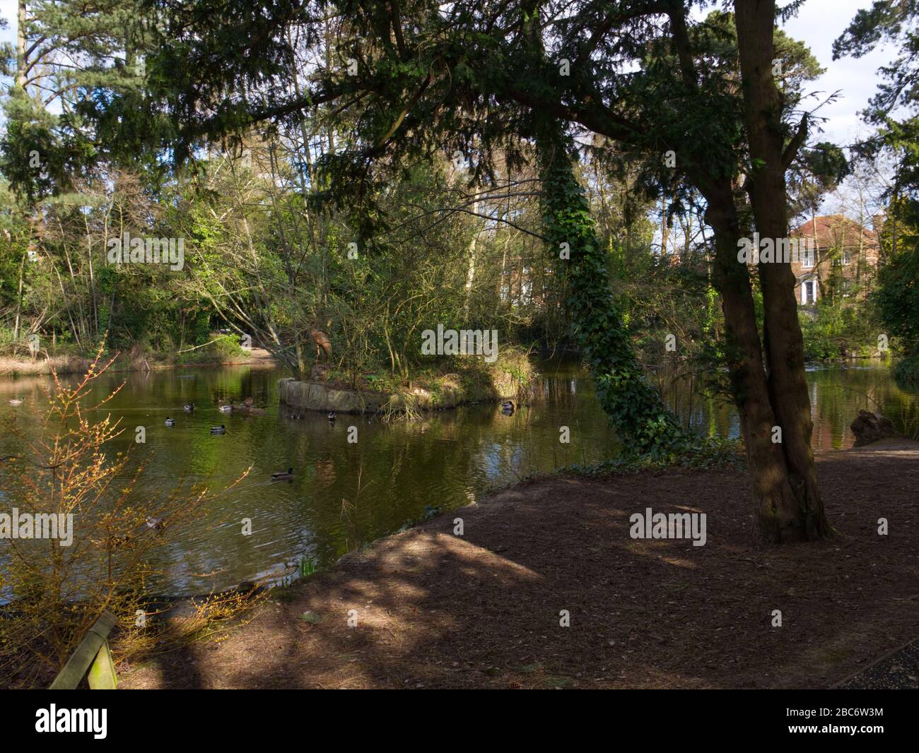 Mary Forsdyke Garden & Michael O'Brien Lakeside Walk, Bushey Heath ...