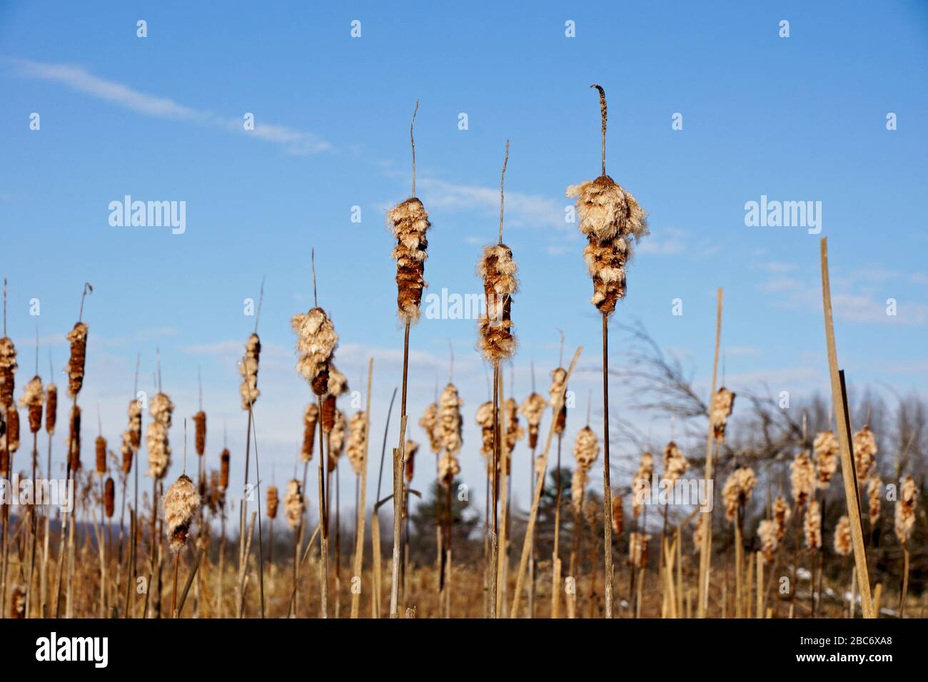 Robert Riddell High Resolution Stock Photography and Images - Alamy