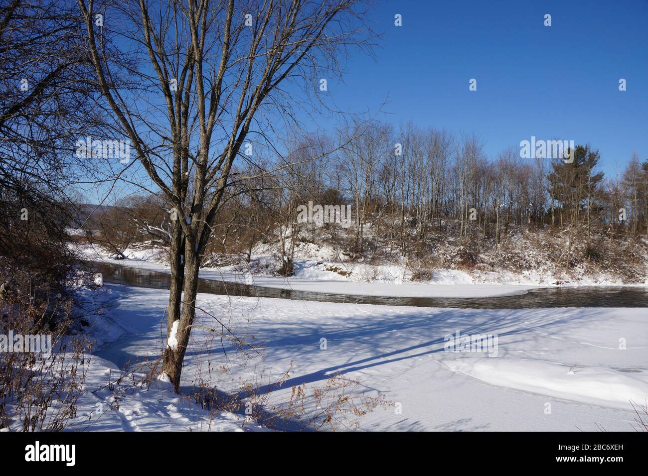 Robert V. Riddell State Park in Upstate New York Stock Photo - Alamy