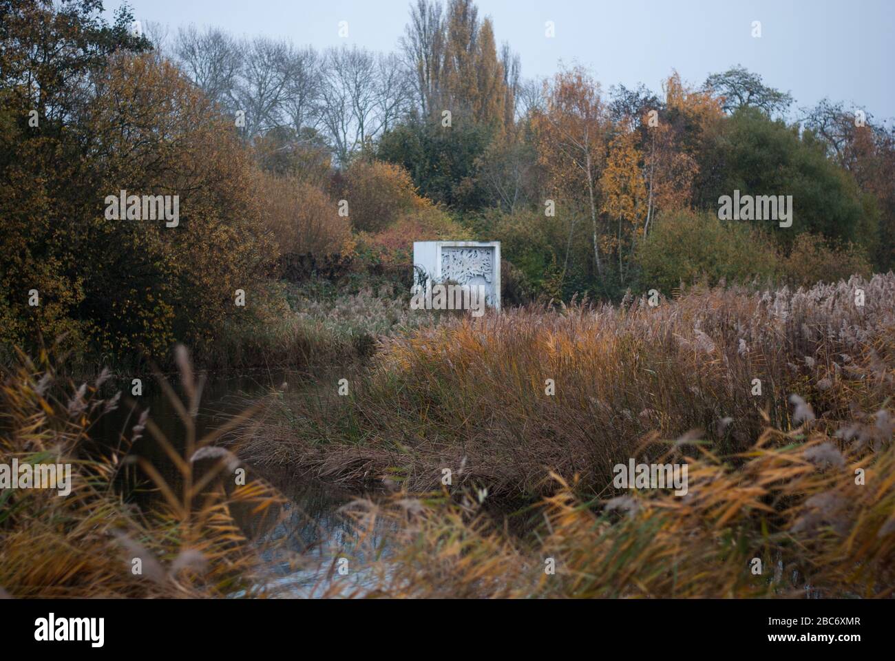 Berkeley Bat House IJP Architects Wetland Centre, Queen Elizabeth's ...