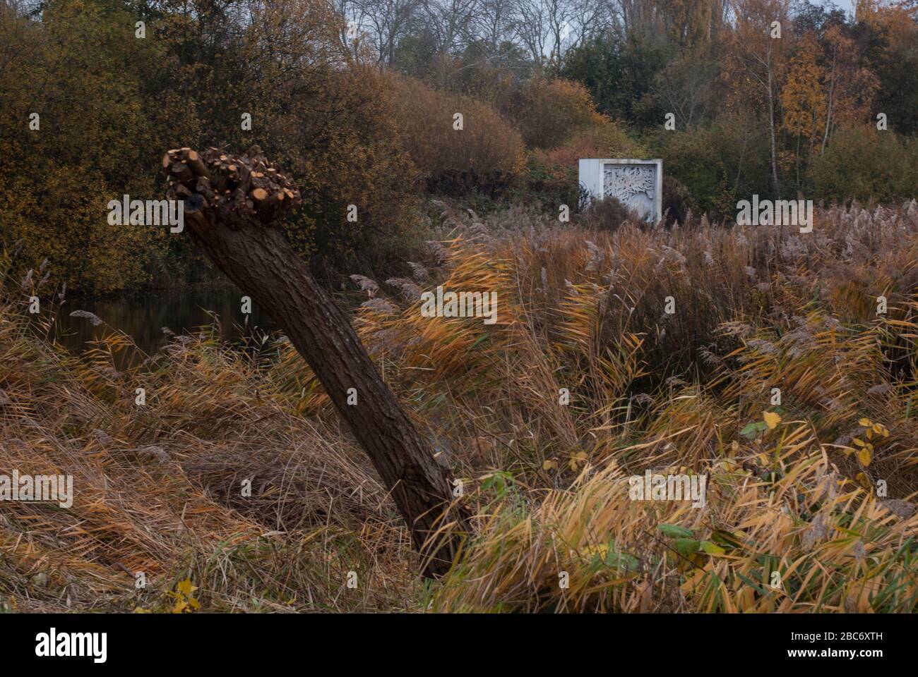 Berkeley Bat House IJP Architects Wetland Centre, Queen Elizabeth's ...