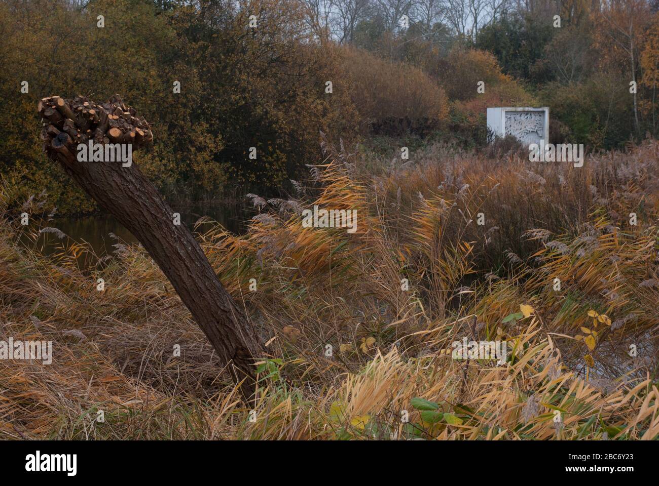 Berkeley Bat House IJP Architects Wetland Centre, Queen Elizabeth's ...