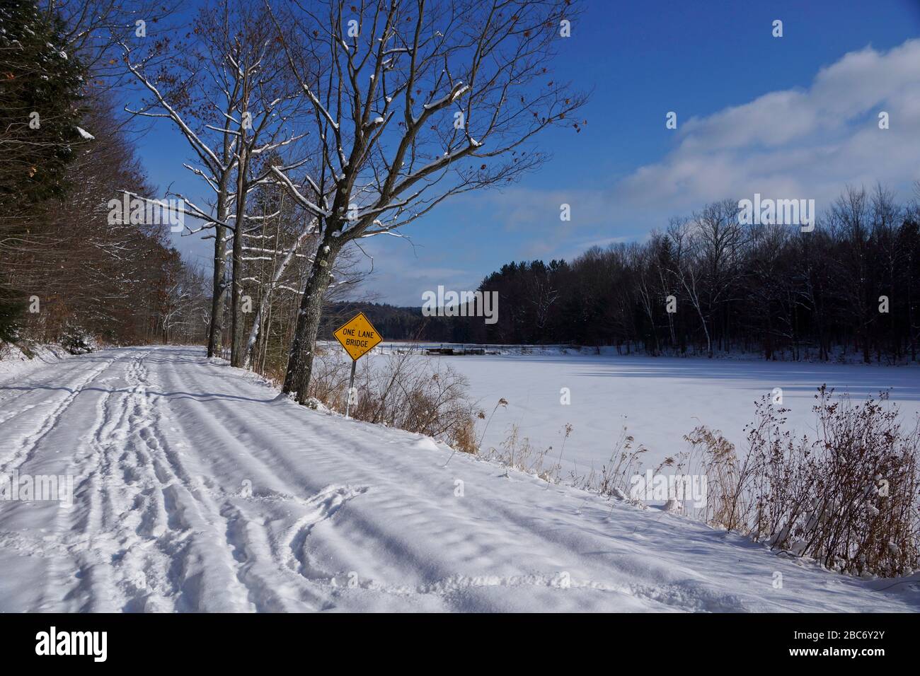 Wilber Lake conservation area near Oneonta NY Stock Photo - Alamy