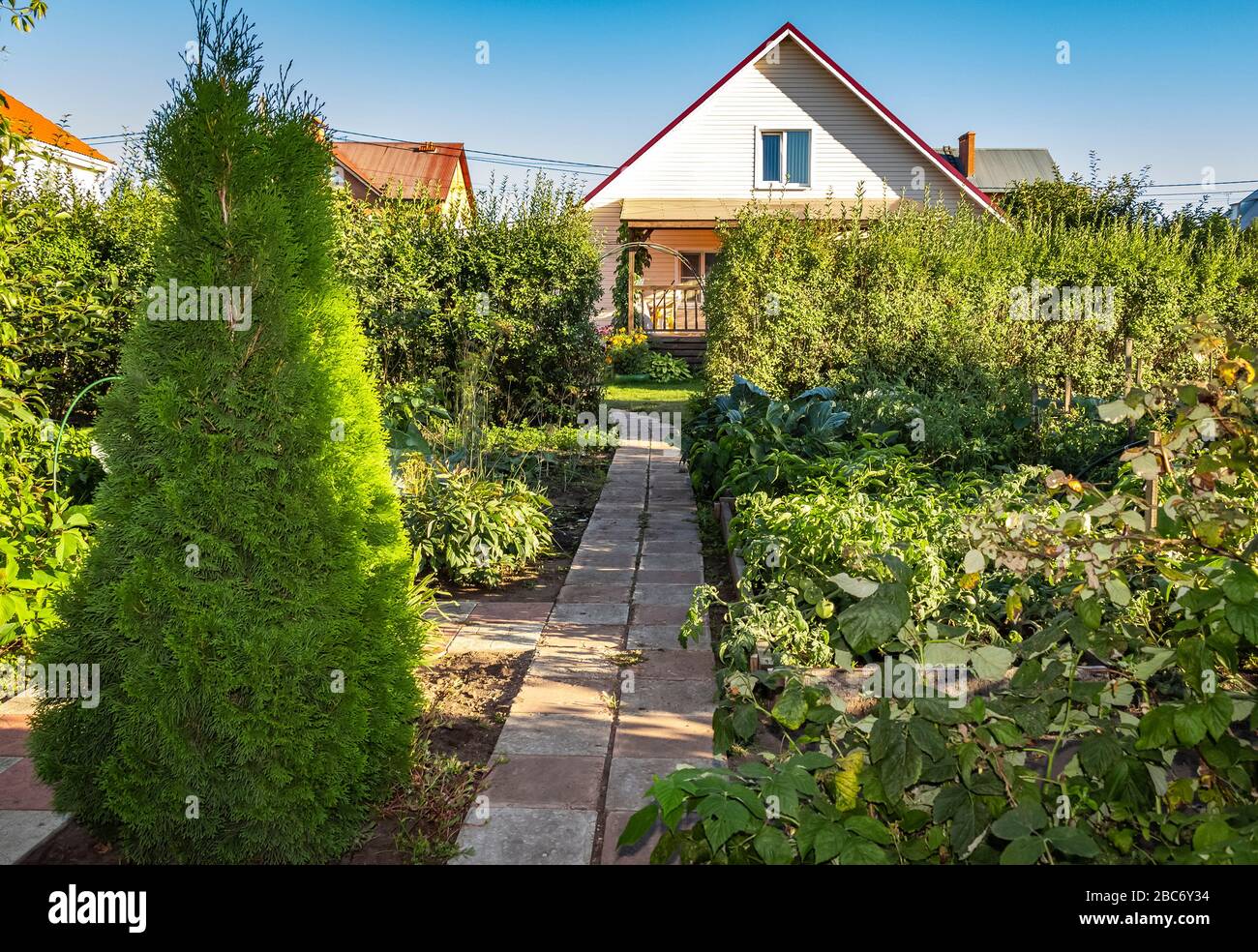 A blooming garden in the backyard in the summer Stock Photo - Alamy